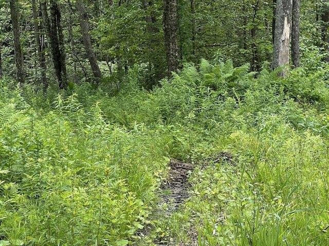 Becket Rd Lot 21, Middlefield, MA 01243