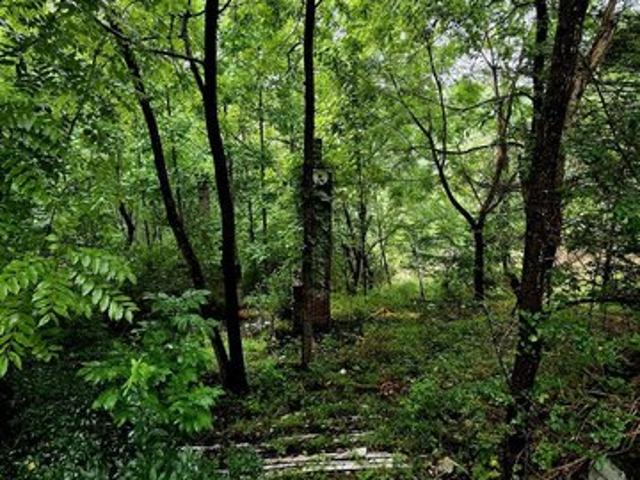 Beckley Rd, Princeton, WV 24740