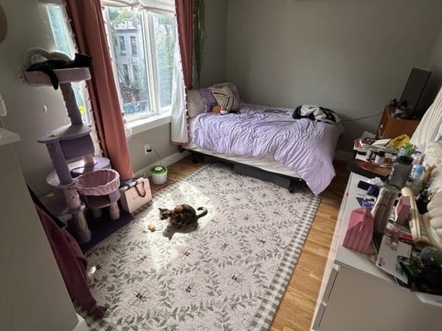 Bedroom available in bedstuy
