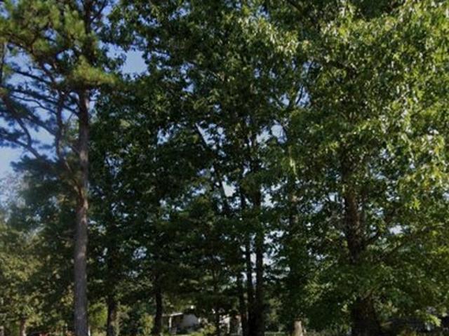 Bee Creek Faulkner Pk Rd Lots 12 & 13, Corbin, KY 40701
