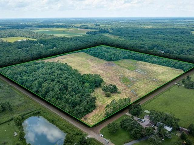 Bee Bayou Rd, Rayville, LA 71269