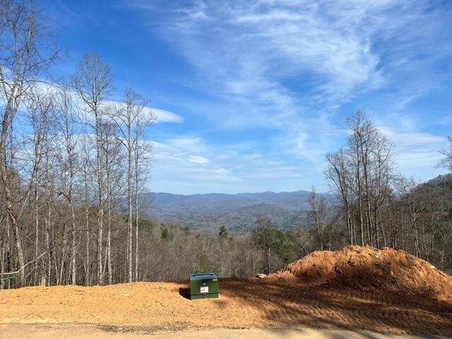Bee Gum Rdg Lot,almond, Plot For Sale