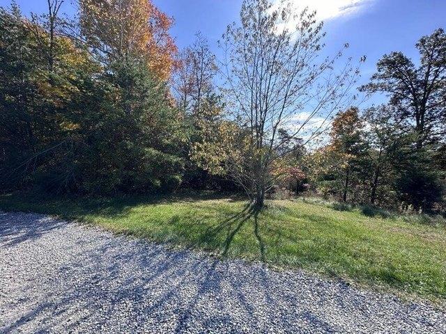 Bee Tree Ln Lot 52, Peterstown, WV 24963