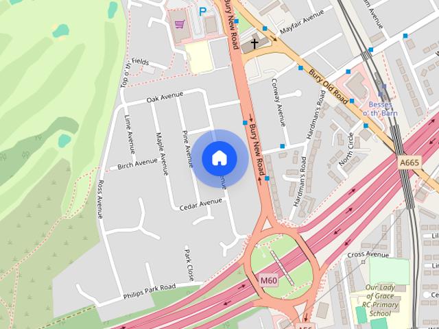 Beech Avenue, Manchester, M45