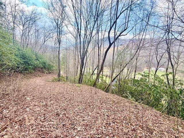 Beech Creek/ Little Hardwood, Robbinsville, NC 28771