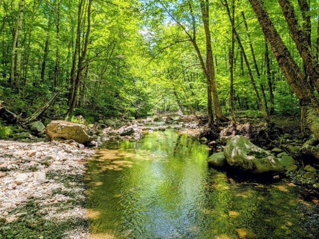 Beech Hill Rd Lot,madrid Twp, Plot For Sale