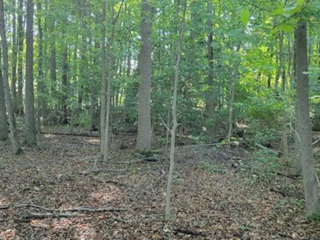 Beech Ln Parcel 27, Accokeek, MD 20607