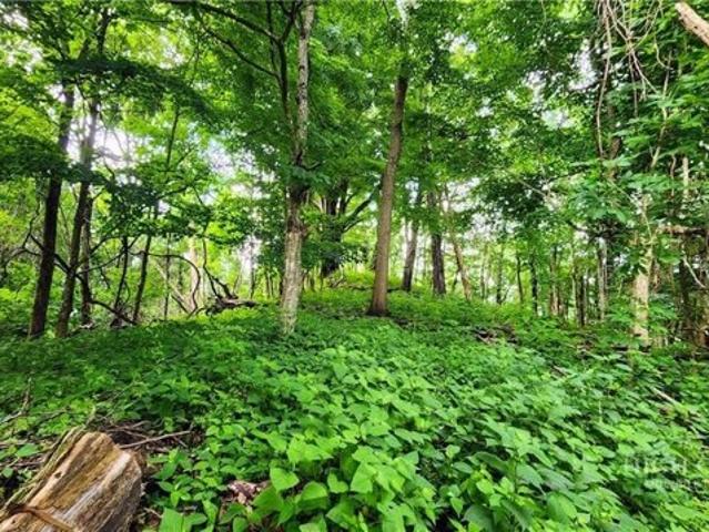 Beech Mountain Rd, Elk Park, Plot For Sale