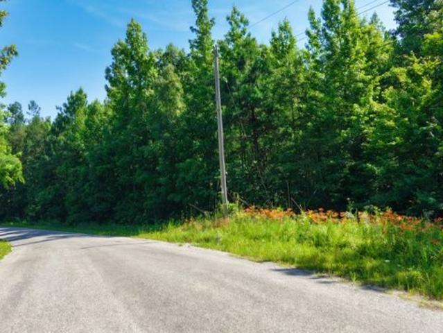 Beech Ridge Rd, Parsons, TN 38363