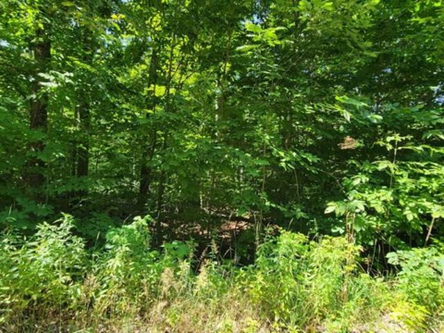Beechnut Ln Lot 223, Wolverine, MI 49799