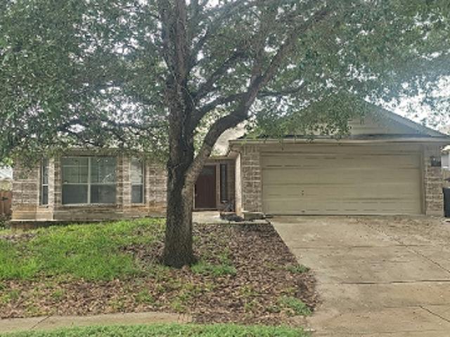 Beechnut Oak