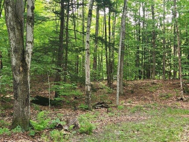 Beechwood Dr, Cornish, Plot For Sale