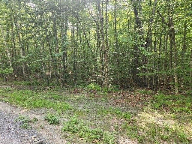 Beechwood Dr, Cornish, Plot For Sale