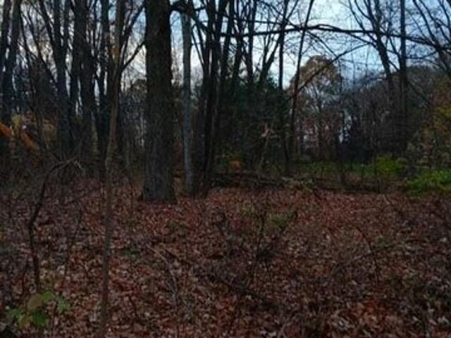 Beechwood Dr, Williamston, MI 48895