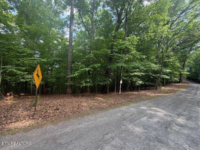 Beechwood Dr Unit 3, Dandridge, TN 37725