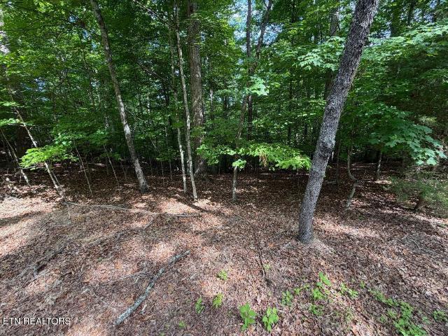 Beechwood Drive 003, Dandridge, TN 37725