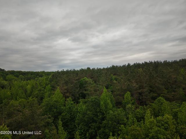 Beechwood Drive, Grenada, MS 38901