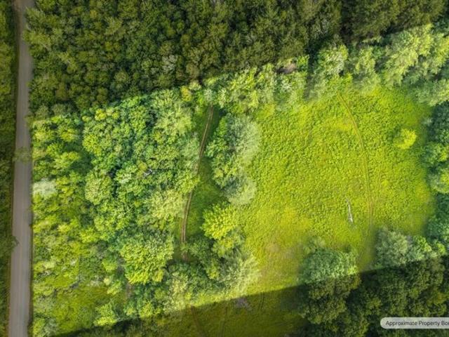 Beechwood St Lot,warren, Plot For Sale