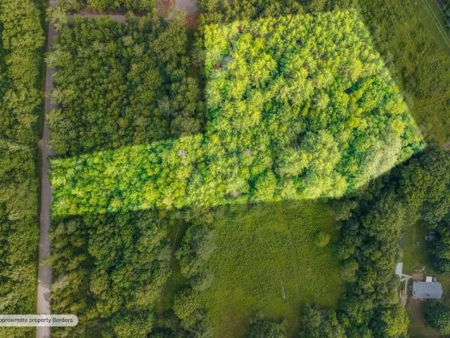 Beechwood St Lot,warren, Plot For Sale