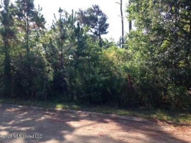 Beechwood St Lot 8, Pass Christian, MS 39571