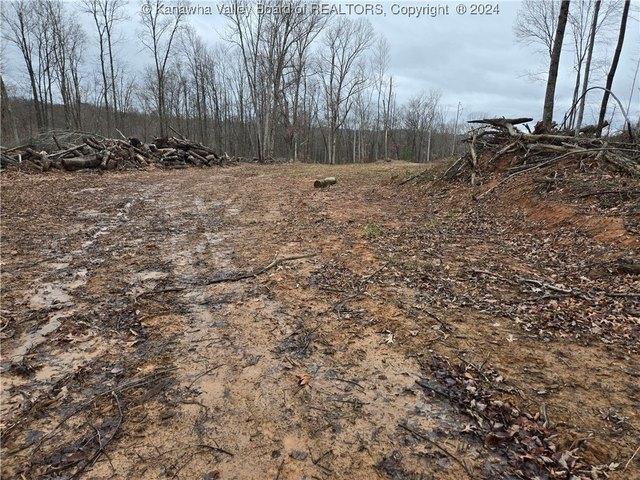 Beechy Rd, Clay, WV 25125