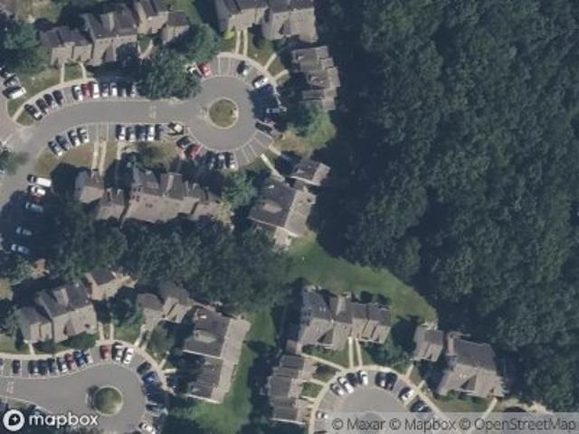 Begonia Ct