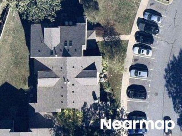 Begonia Ct