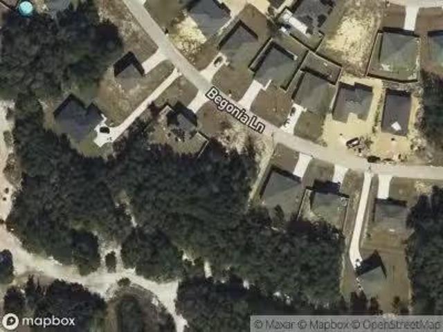Begonia Ln