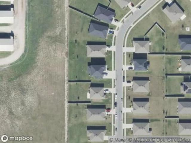 Begonia St