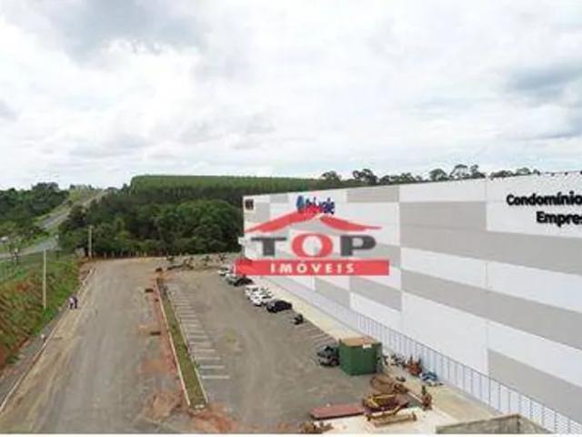 Beira de pista