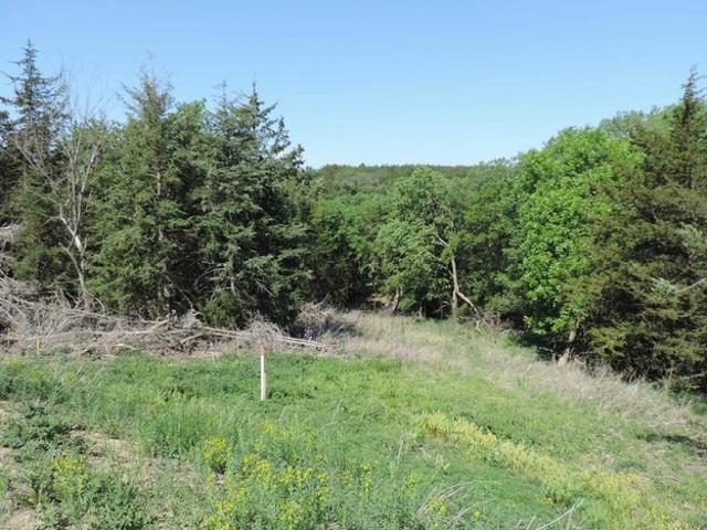 Beltrane Dr Lot 15, Yankton, SD 57078