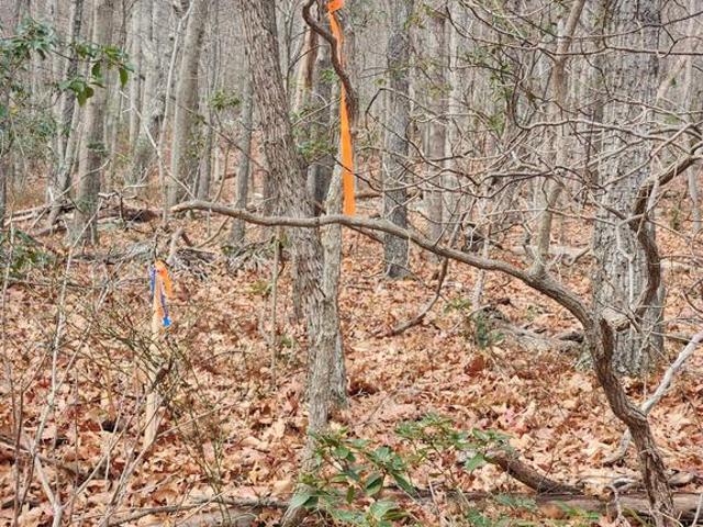 Belwort Trail