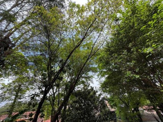 Bela Casa de Esquina e 4 Dormitórios na Melhor Localização da Granja Vianna