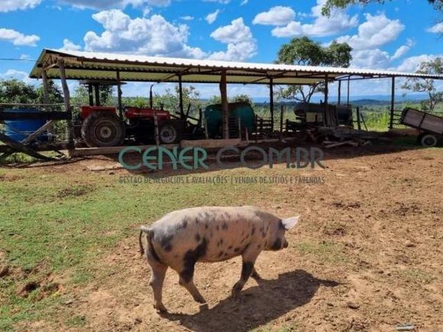 Bela Fazenda de 483 ha na Chapada da Serra de Lassance MG