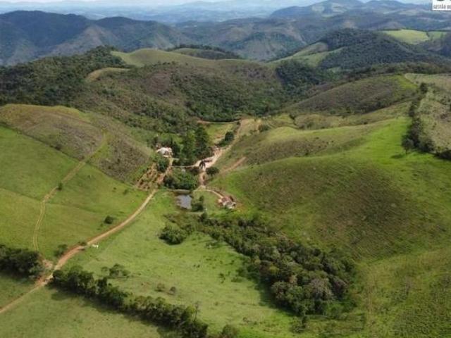 Bela Fazenda de 78 ha com boa estrutura em Barbacena e de porteira fechada