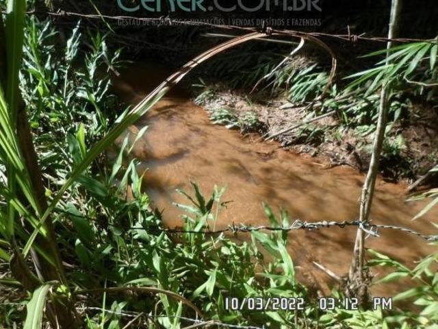Bela Fazendinha de 15 ha com boa estrutura e alambique a 90 Km de Belo Horizonte