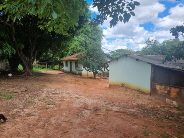 BELA FAZENDINHA DE 78 HA BEM PREPARADA EM ÓTIMO LOCAL