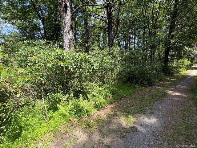 Belair Rd, Glen Spey, NY 12737