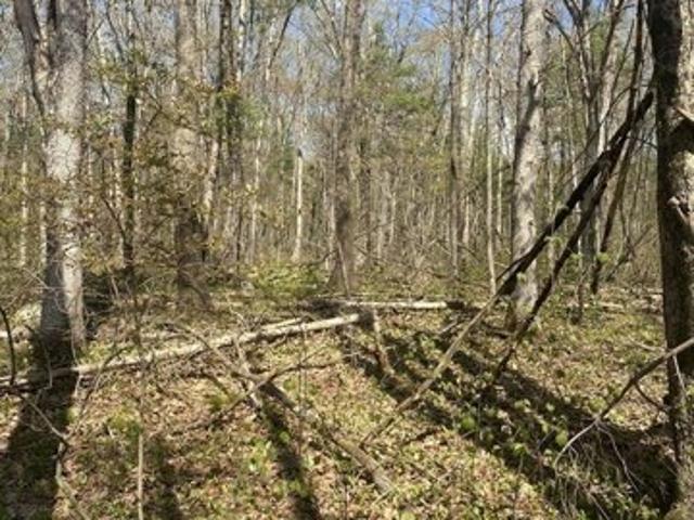 Belchertown Rd, Ware, Plot For Sale