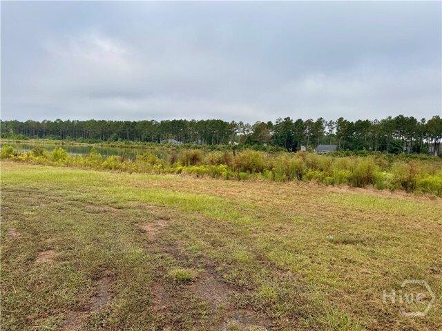 Belfast River Rd, Richmond Hill, Plot For Sale