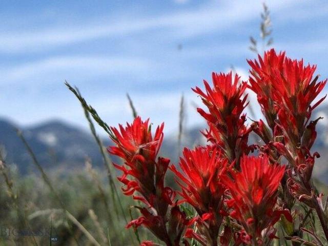 Belfry MT 59008 LS93236118