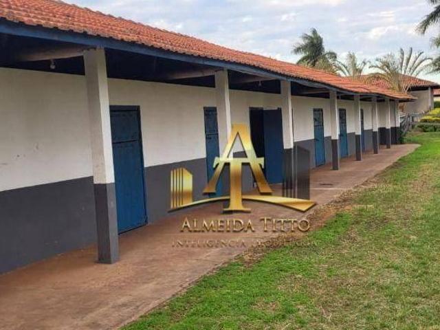 Belíssimo Haras à Venda na Região de Gália SP Confira!
