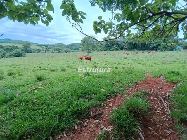 Belissimo terreno na Boca do Monte com quase 9 ha