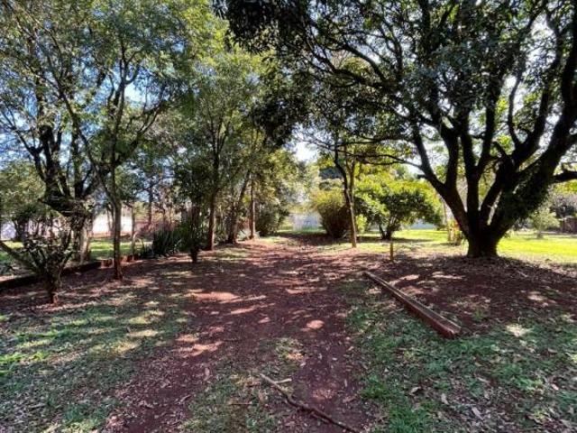 BELÍSSIMA CHÁCARA ZONA LESTE DE LONDRINA, ÓTIMA PARA MORADIA OU INVESTIMENTO