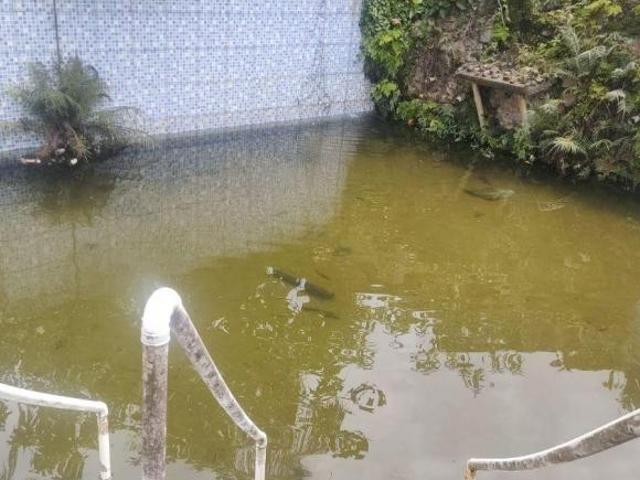 BELÍSSIMA CHÁCARA COM LAGO RIACHO COM CASCATA E PISCINA NATURAL LOCALIZADO EM SÃO LOURENÇO DA SERRA