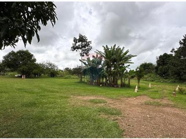 Belíssima chácara localizada no Park Way, SMPW Quadra 12, com 30.000 m²