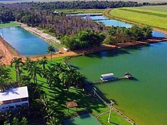 Belíssima Fazenda em região nobre do MT