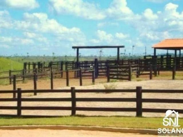 BELÍSSIMA FAZENDA PARAÍSO DO SUL MT