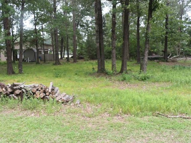 Belize Dr, Pointblank, TX 77364