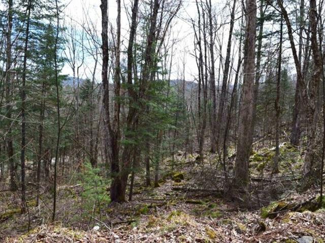 Belknap Dr Lot,haverhill, Plot For Sale
